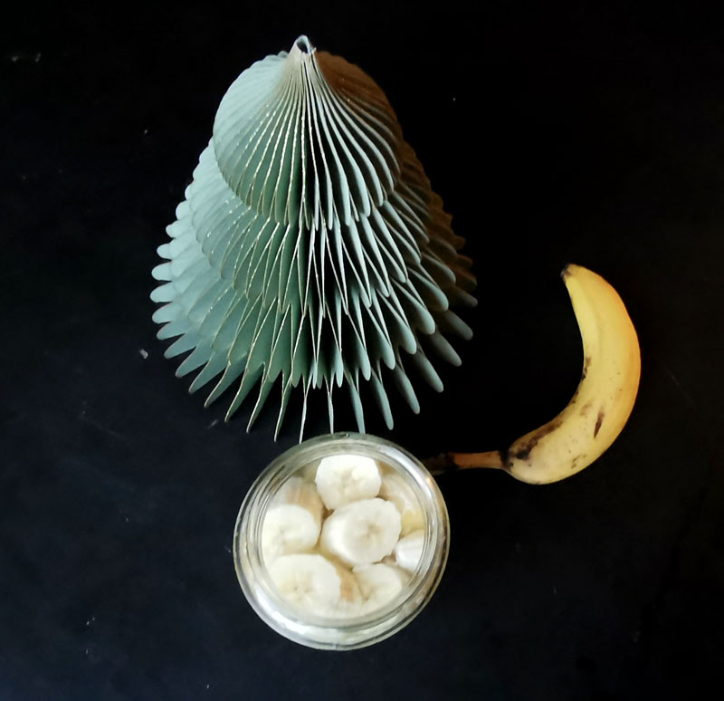 Food waste reduction: going bananas! - Ines Lechleitner